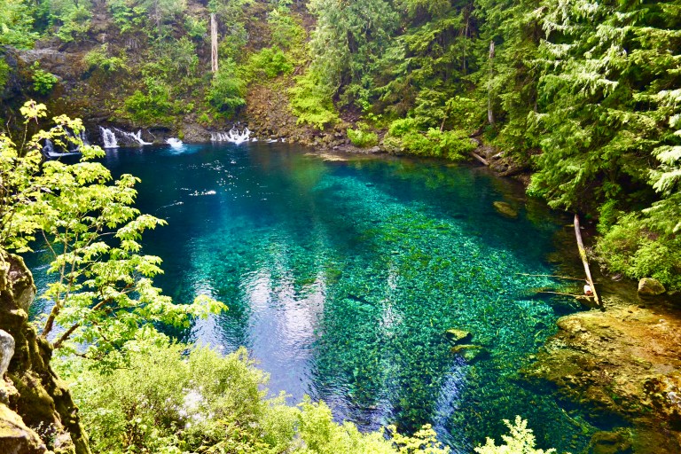 Hiking at Tamolitch Falls (Blue Pool) | Oregon Tails